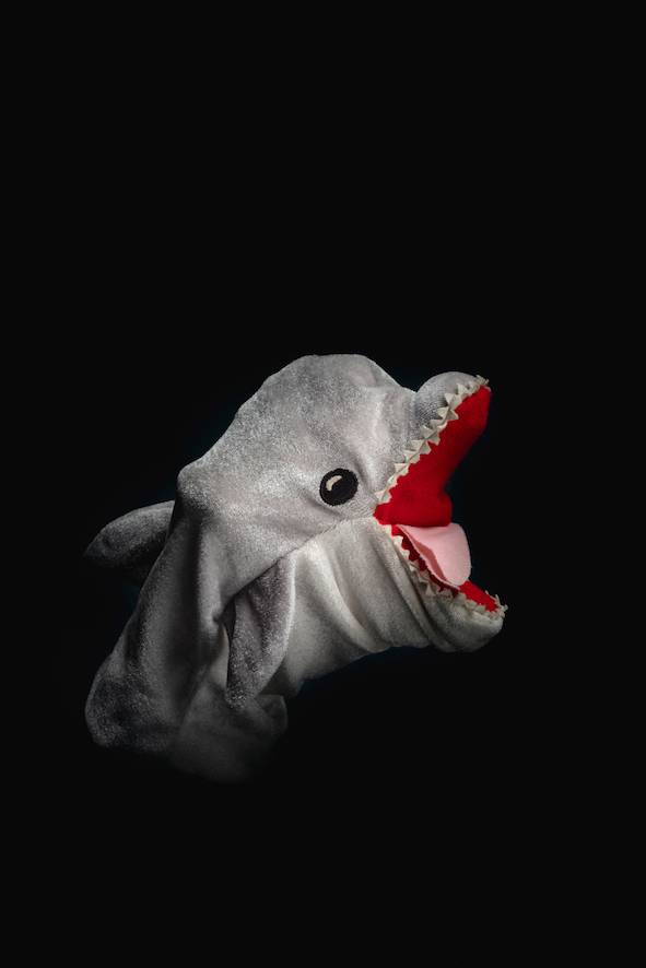 BIZÁR TÝDNE: Kříženec delfína s Hitlerem nahrál album. Je mi to jedno ...